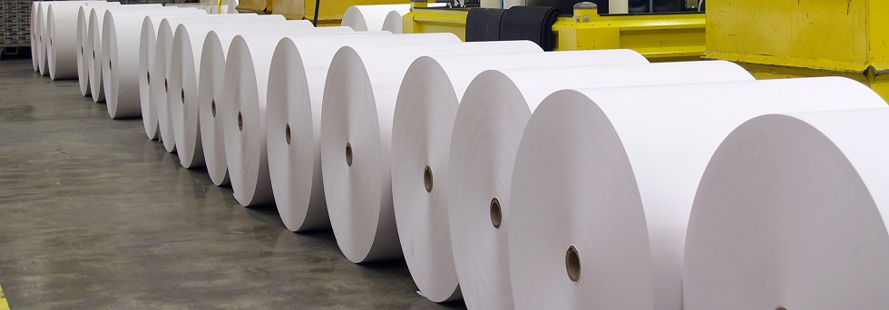 Paper/pulp | Products | Products & Services | RIX CORPORATION